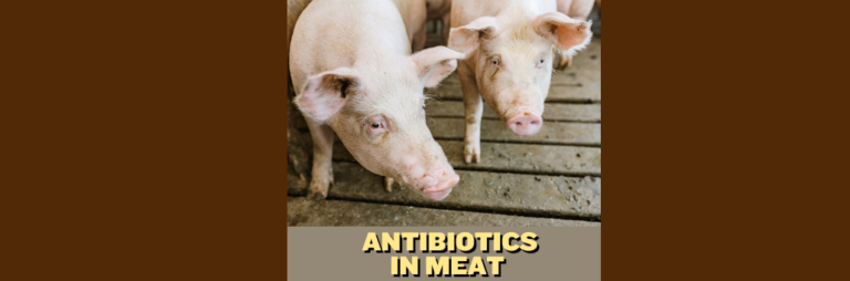 Antibiotics in Meat: What You Need to Know | Jones Dairy Farm